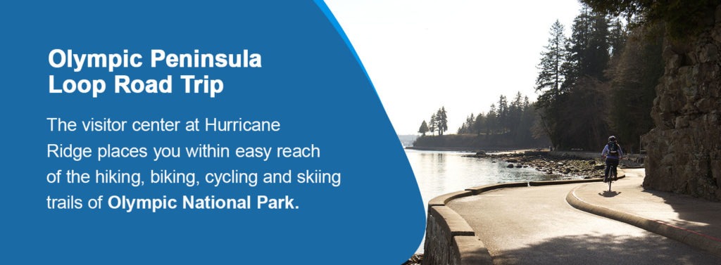 16 Best Road Trips in the USA | My Financing USA