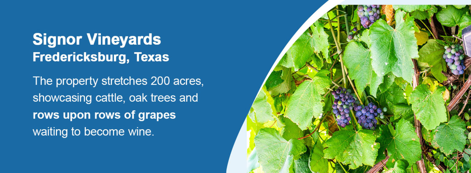 The 13 Best Restaurants to Try on Your Southwest Road Trip | My ...